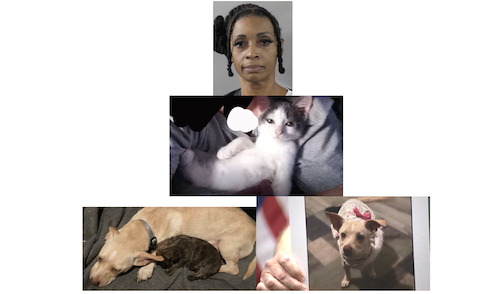 Tamesha Knighten Arrested for Allegedly Poisoning Neighbor's Pets