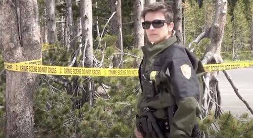 Yellowstone National Park Ranger Shot in Shootout, Suspect Dead
