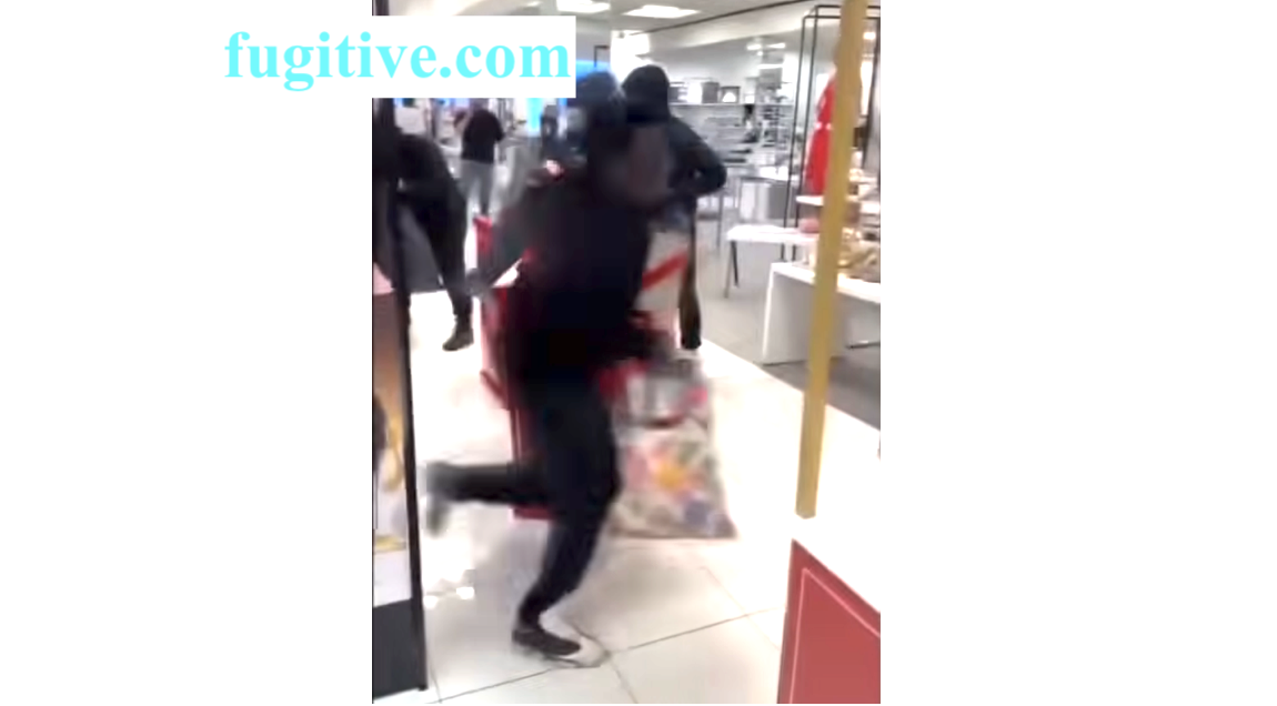 Concord Sunvalley Mall Macy's Mob Robbery Caught on Camera